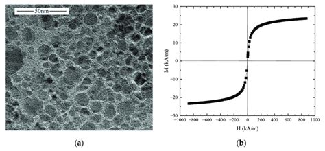 A Tem Image Of Nanoparticles B Vsm Magnetization Curve For The