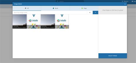 Bug Report When Uploading More Than One Image Once Upload Finishes