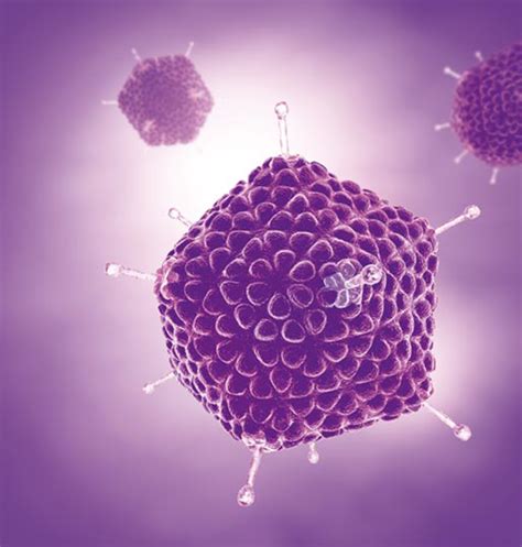 How Effective Are Hand Disinfectants Against Hepatitis E Virus