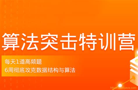 拉钩 算法突击特训营3期 2022最新完结无密 请使用正版授权 盗版主题后果自负 授权购买官网 ritheme