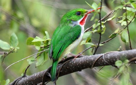 Insects The Silent Extinction Kloof Conservancy The Leopards Echo