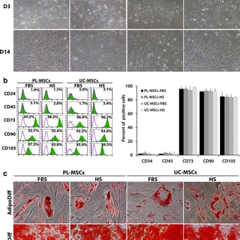 The Characteristics Of Mscs Derived From Human Placenta Pl Mscs And