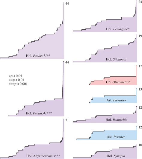 Simplified Lineages Through Time Ltt Plots For Timp Genes In Download Scientific Diagram