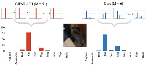 Eliciting And Learning With Soft Labels From Every Annotator