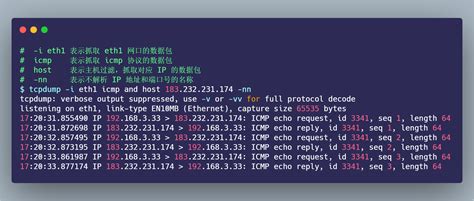 43 Tcp 实战抓包分析 小林coding