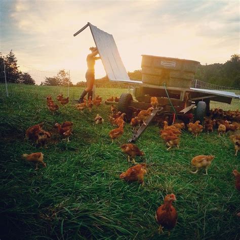 Farmhand Jobs In Virginia Beginning Farmers