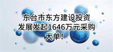 东台市东方建设投资发展有限公司最新发起1646万元采购大单