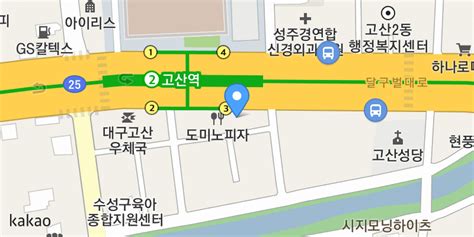사랑요양보호사교육원 카카오맵