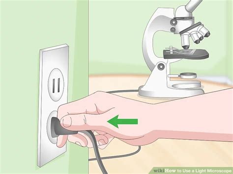 How Are Compound Light Microscopes And Electron Alike Shelly Lighting
