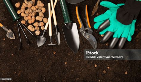 비옥 한 토양의 질감을 배경으로 한 정원 도구 정원 가꾸기 개념입니다 정원에서 일하기 실내 식물 이식 정원 삽과 갈퀴 토양 팽창 된 점토 원예 장갑 0명에 대한 스톡 사진