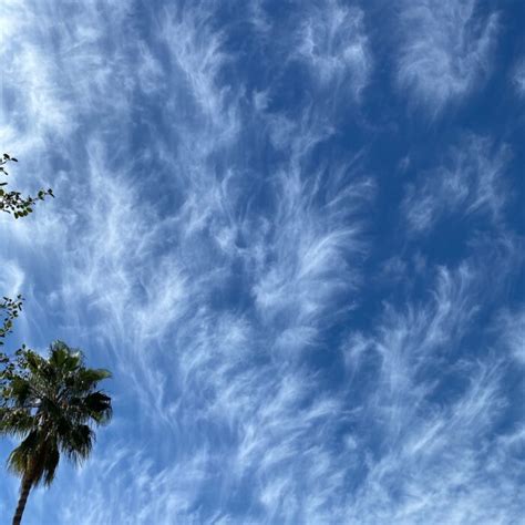 Cirrus Cloud Appreciation Society