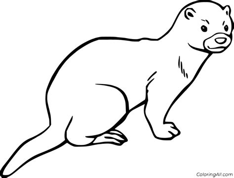 7 Free Printable Mink Coloring Pages In Vector Format Easy To Print