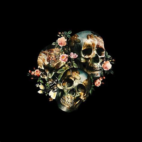 Skull And Venus By Burcu Korkmazyurek Redbubble Skull Skull Art