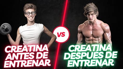 Creatina ¿es Mejor Tomarla Antes O Después De Entrenar Guía Completa