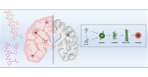 Inhibition Of Phosphorylated Alpha Synuclein Aggregation By Synthetic