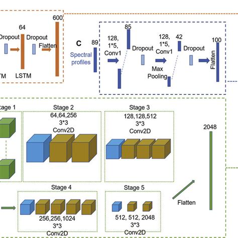 fusion net framework a lstm framework for morphological feature