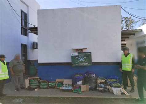 Incautan más de 128 kilos de hojas de coca y 57 astas de ciervo en