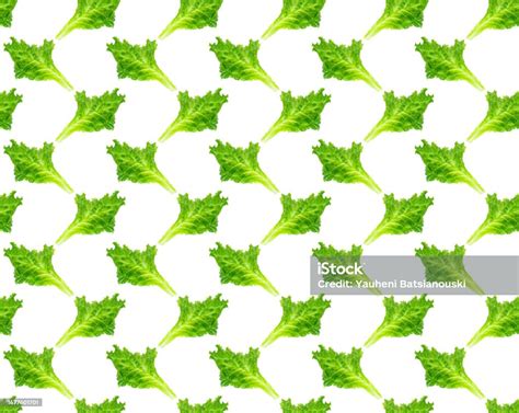 白い背景にレタスの葉を飛ばす新緑の葉を浮かび上がらせる 新鮮のストックフォトや画像を多数ご用意 新鮮 緑色 オーガニック Istock