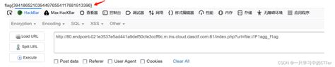 2023年磐石行动第十三周磐石行动 Ctf Csdn博客