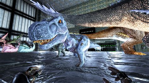 Best Color Mutation General Discussion Ark Official Community Forums