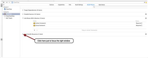 Iphone How To Programmatically Display Versionbuild Number Of Target