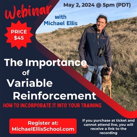 Webinars Michael Ellis School