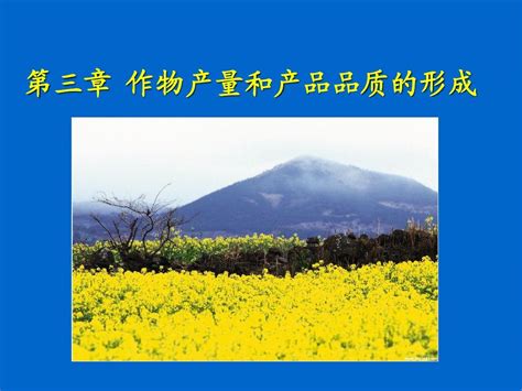 第三章 作物产量和产品品质的word文档在线阅读与下载无忧文档