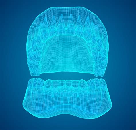 Premium Vector Human Jaw 3d Vector Layout Medicine And Health