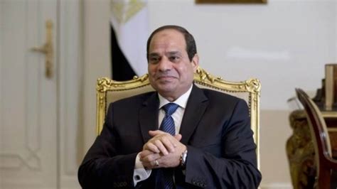 الرئيس السيسي يوجه بترقية الموظفين المستوفين اشتراطات الترقية في 306