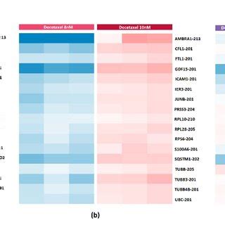 Heat Map Showing The Differential Expression Of Transcripts Associated