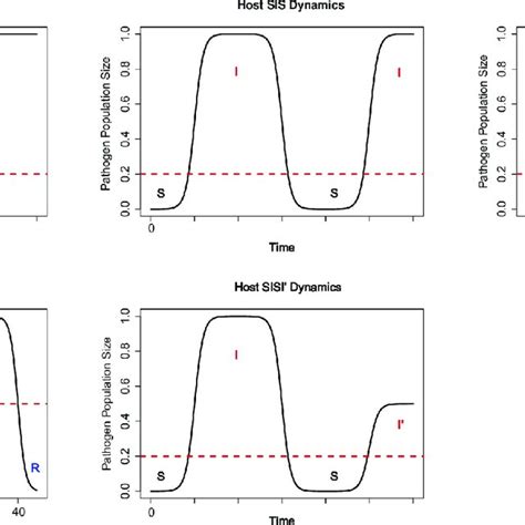 pdf patch dynamics modeling framework from pathogens perspective