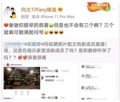 郭碧婷懷孕肚大如籮，把狗狗藏在包里，露出狗頭甚是呆萌 每日頭條