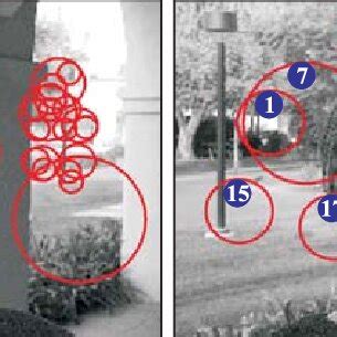 Results Of Both Saliency Detectors Kadir And Ours On Images With