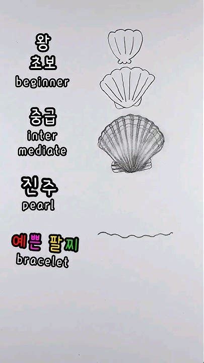 쉬운거부터 조개 그리는 방법 그림drawing Youtube