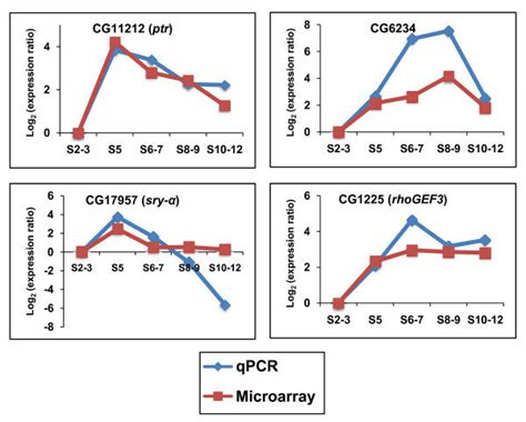 comparison between qpcr and microarray results for selected genes qpcr