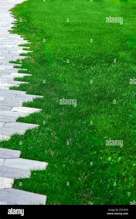 Pavement With Stone Tiles Decorative Pattern And Trimmed Green Lawn On