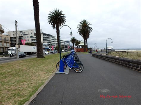The Melbourne Adventure Cruise Stories