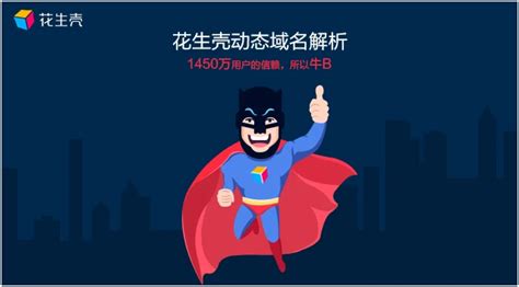 Ddns动态域名服务的基本介绍及优秀服务商 哔哩哔哩