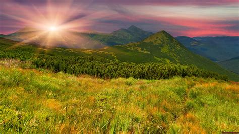 🔥 50 4k Wallpapers Grass Wallpapersafari