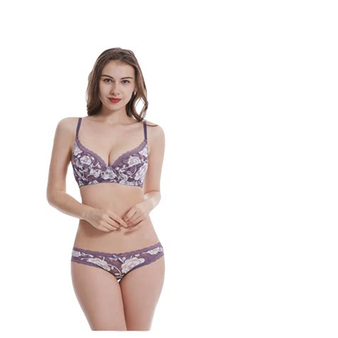 Lace Embroidery Bra And Panties Set Adjustable Push Up Brassiere Sexy