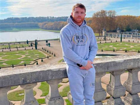 Canelo Obligado Por La Fib A Enfrentarse Al Cubano Scull