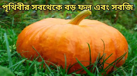 এরকম ফল লখ একট মতর হয পথবর সব থক বড কযকট ফল এব সবজ YouTube