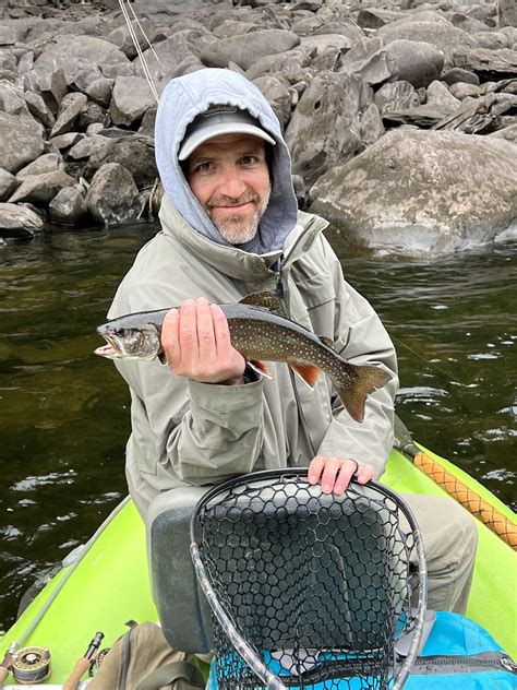 575 Best Brook Trout Images On Pholder Flyfishing Fishing And