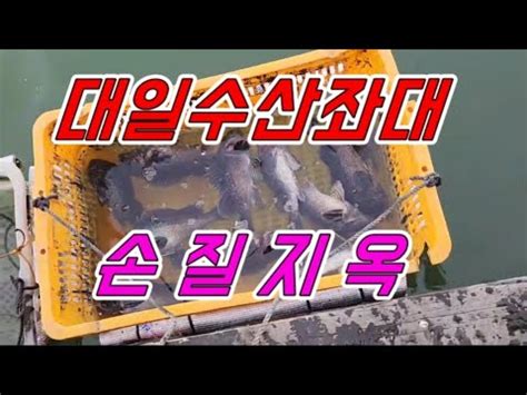 갑프로 대일수산좌대 2024년 03월23일 우럭 조황 손맛좀 보자 YouTube