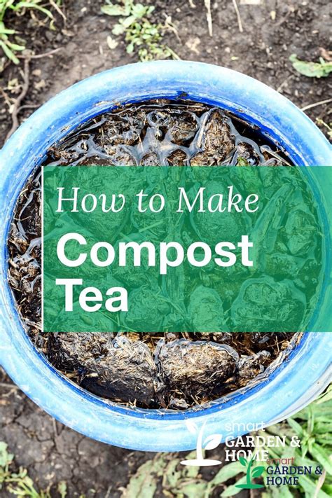 How To Use Compost In Containers For Houseplants Artofit