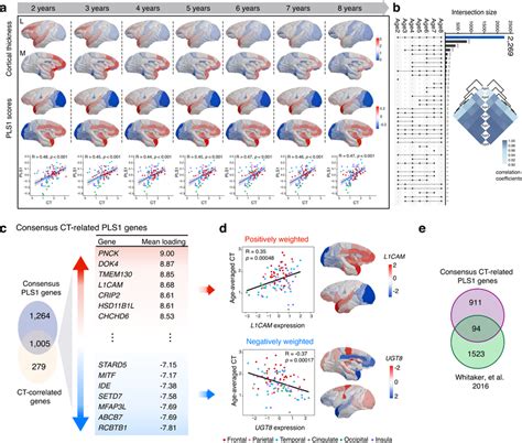 Consensus Gene Expression Profiles Related To Dynamic Variation Of Consensus Gene Expression Profiles Related To Dynamic Variation Of