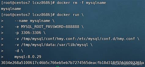 Docker最新超详细教程——docker创建运行mysql并挂载 金鳞踏雨 博客园