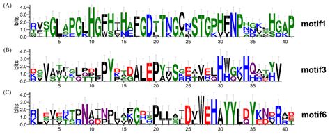 Genome Wide Identification And Transcriptional Expression Analysis Of Superoxide Dismutase Sod