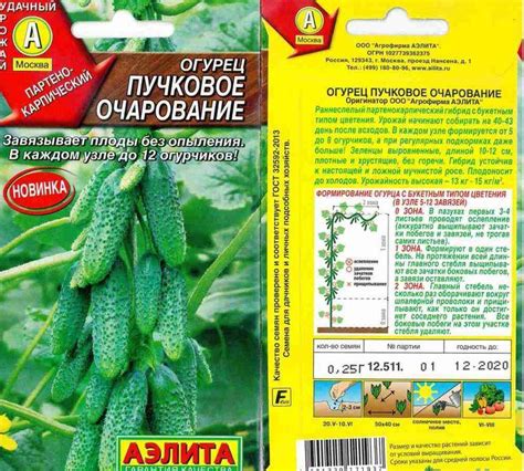 Лучшие сорта огурцов для теплиц на 2025 год