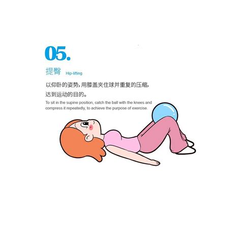 凯格尔运动（男女通用）——修复盆底肌，快速恢复活力。 哔哩哔哩